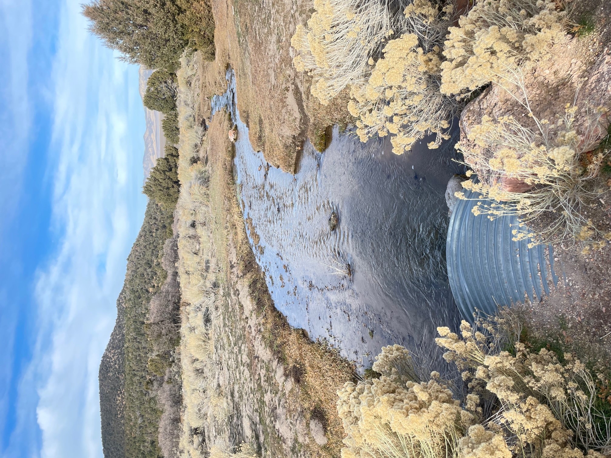 Utah's Watershed Restoration Initiative