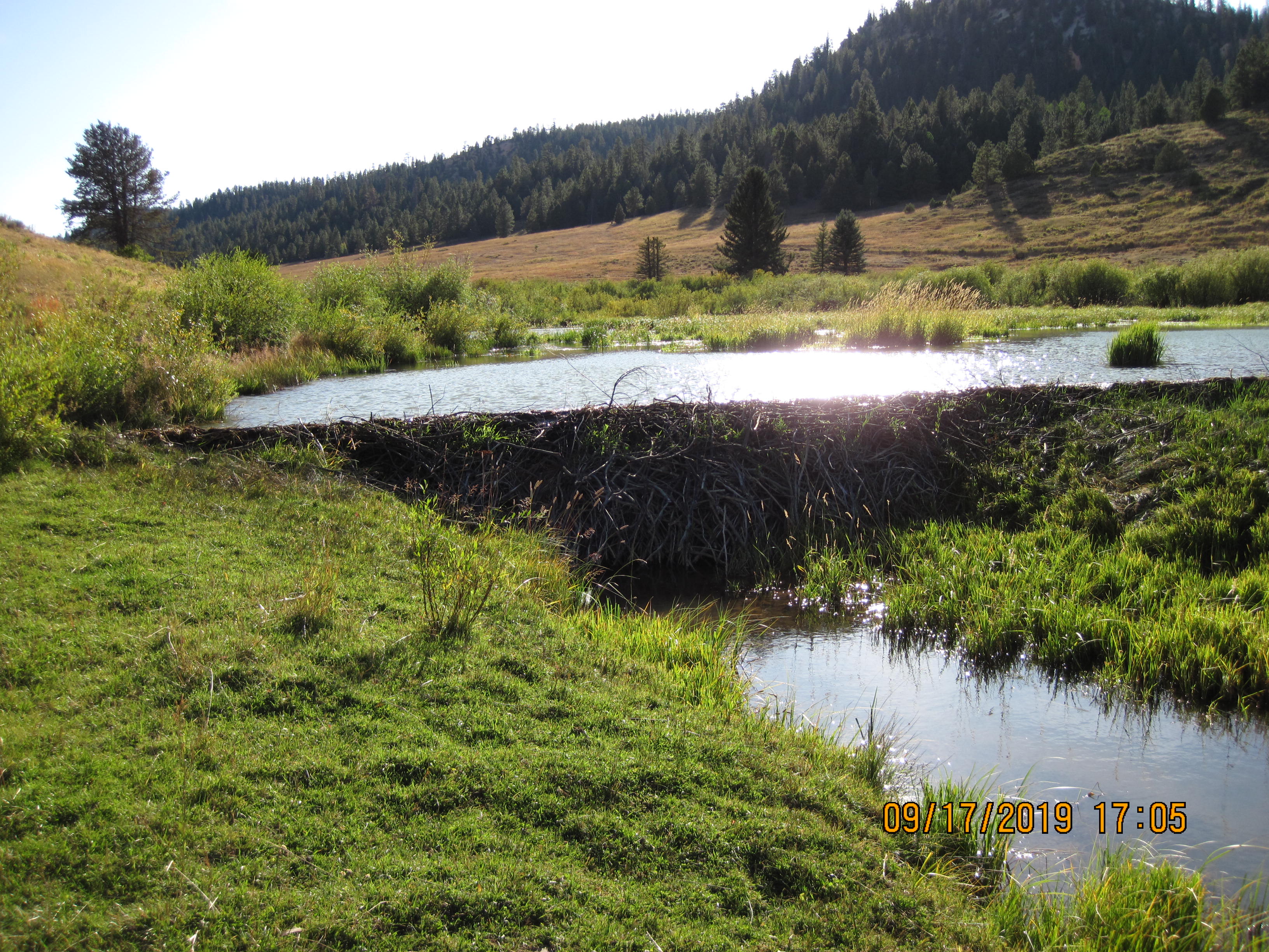 Utah's Watershed Restoration Initiative