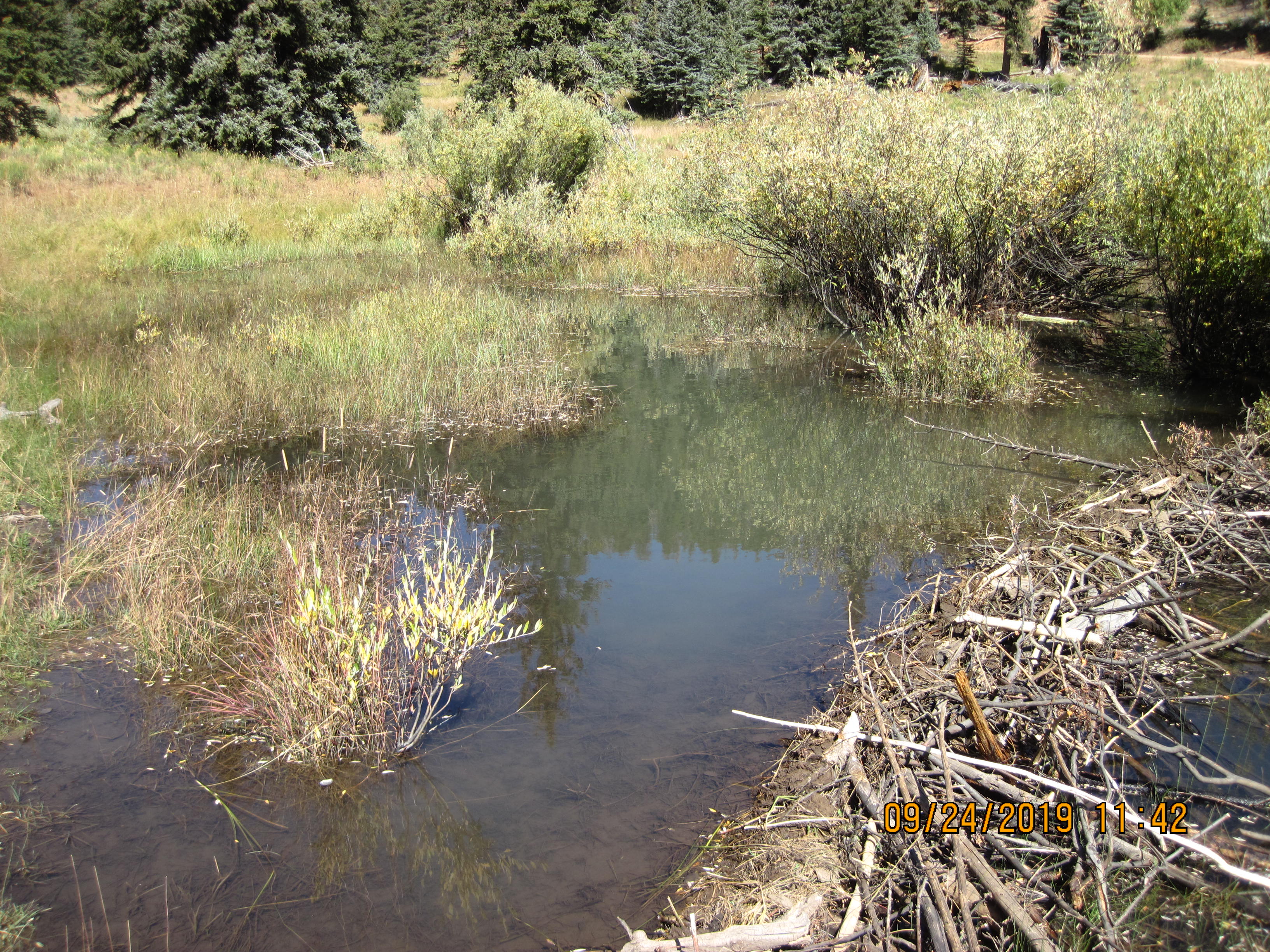 Utah's Watershed Restoration Initiative