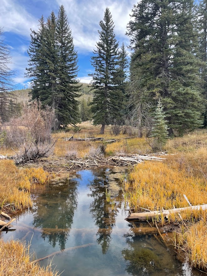 Utah's Watershed Restoration Initiative
