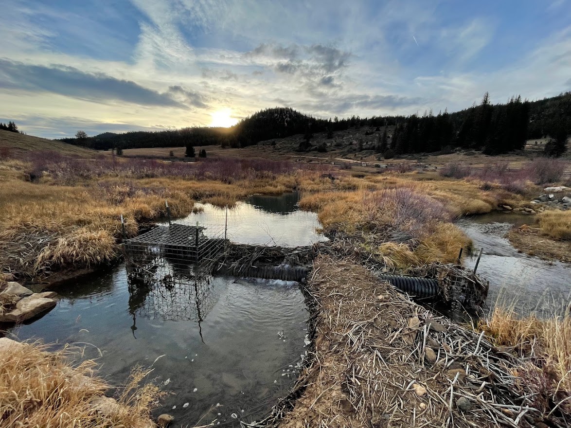 Utah's Watershed Restoration Initiative