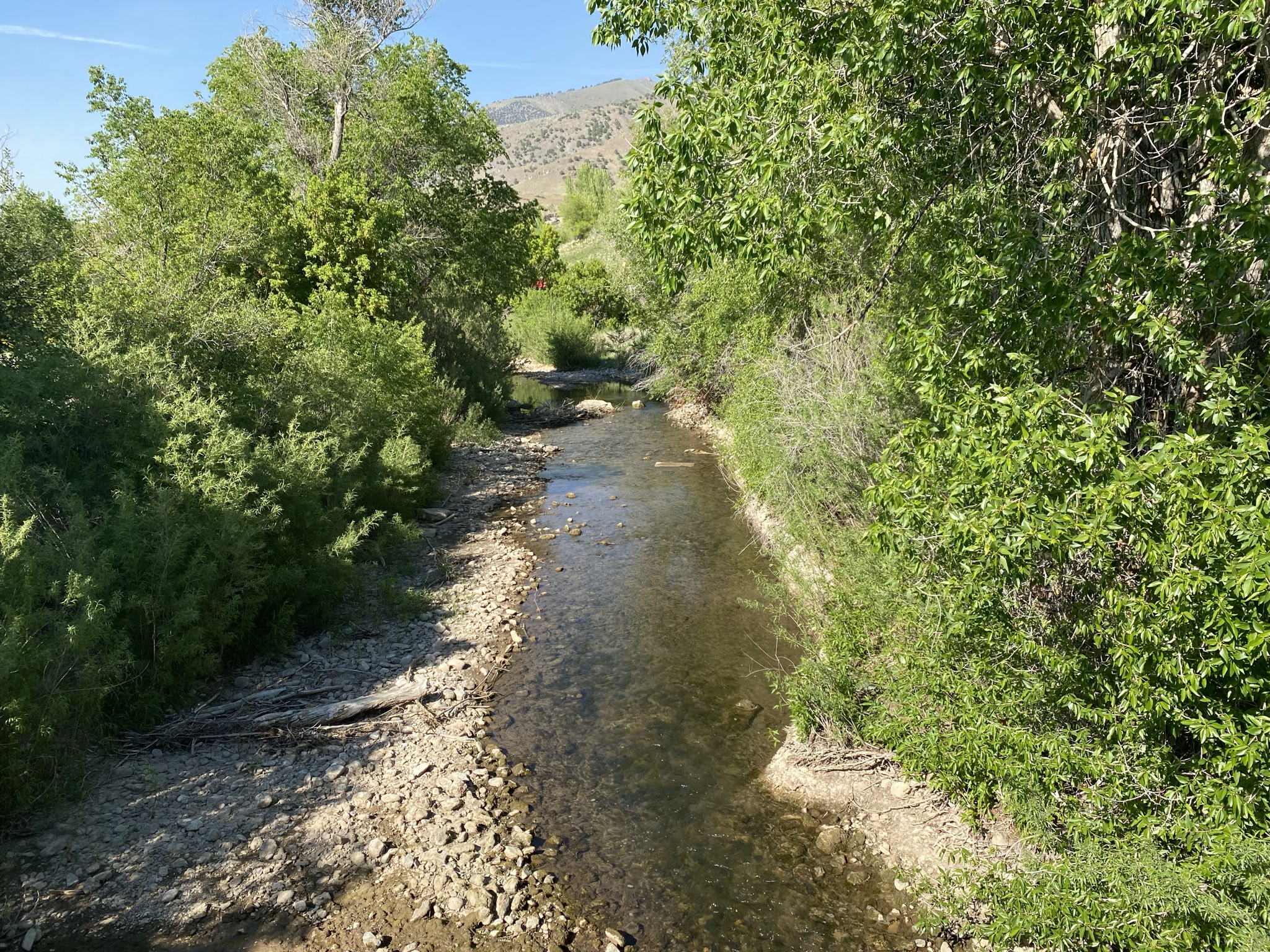 Utah's Watershed Restoration Initiative