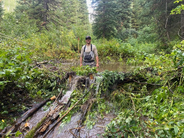 Utah's Watershed Restoration Initiative